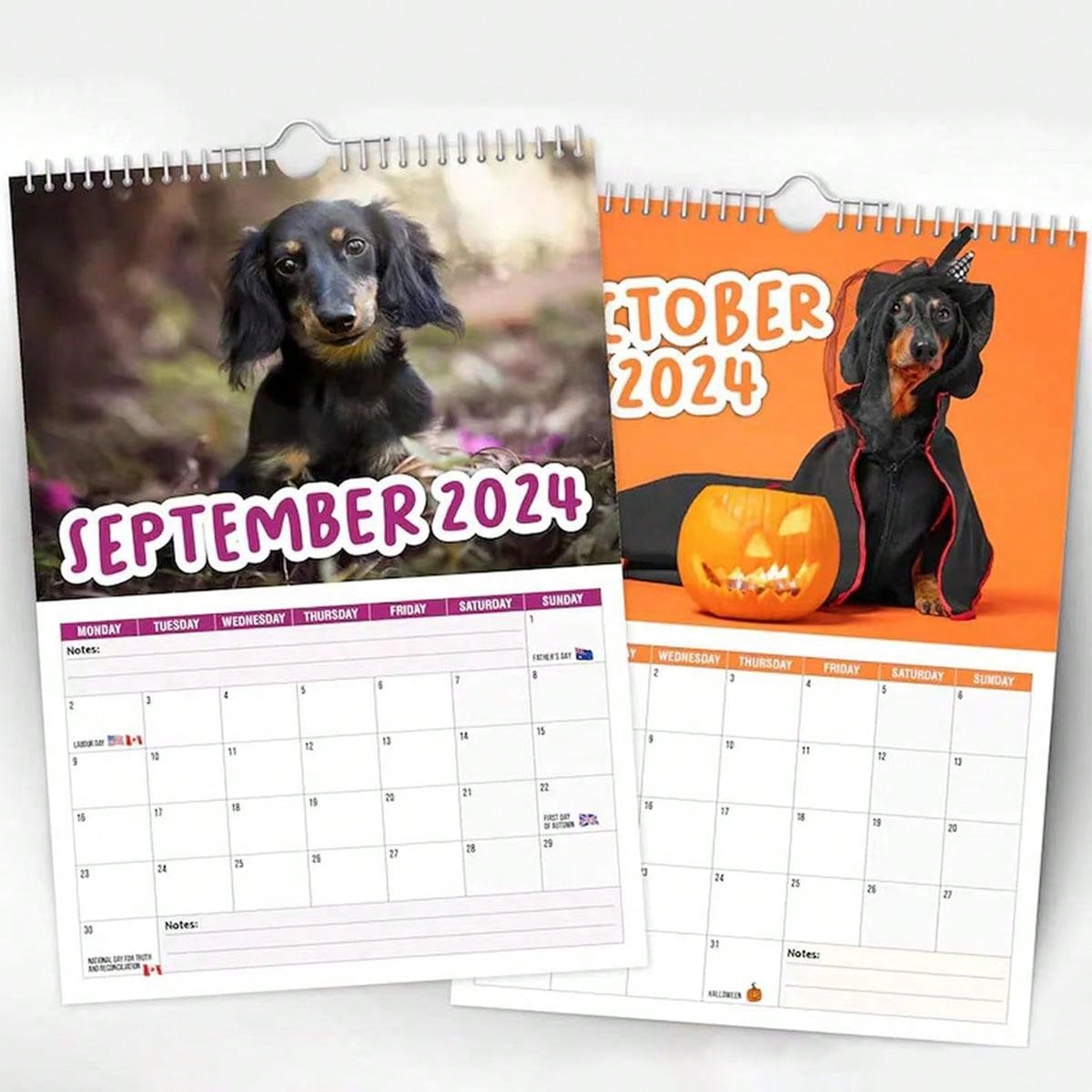 1pc2024 Cheeky Dachshunds Calendar,cute dachshund funny calendar plan ...