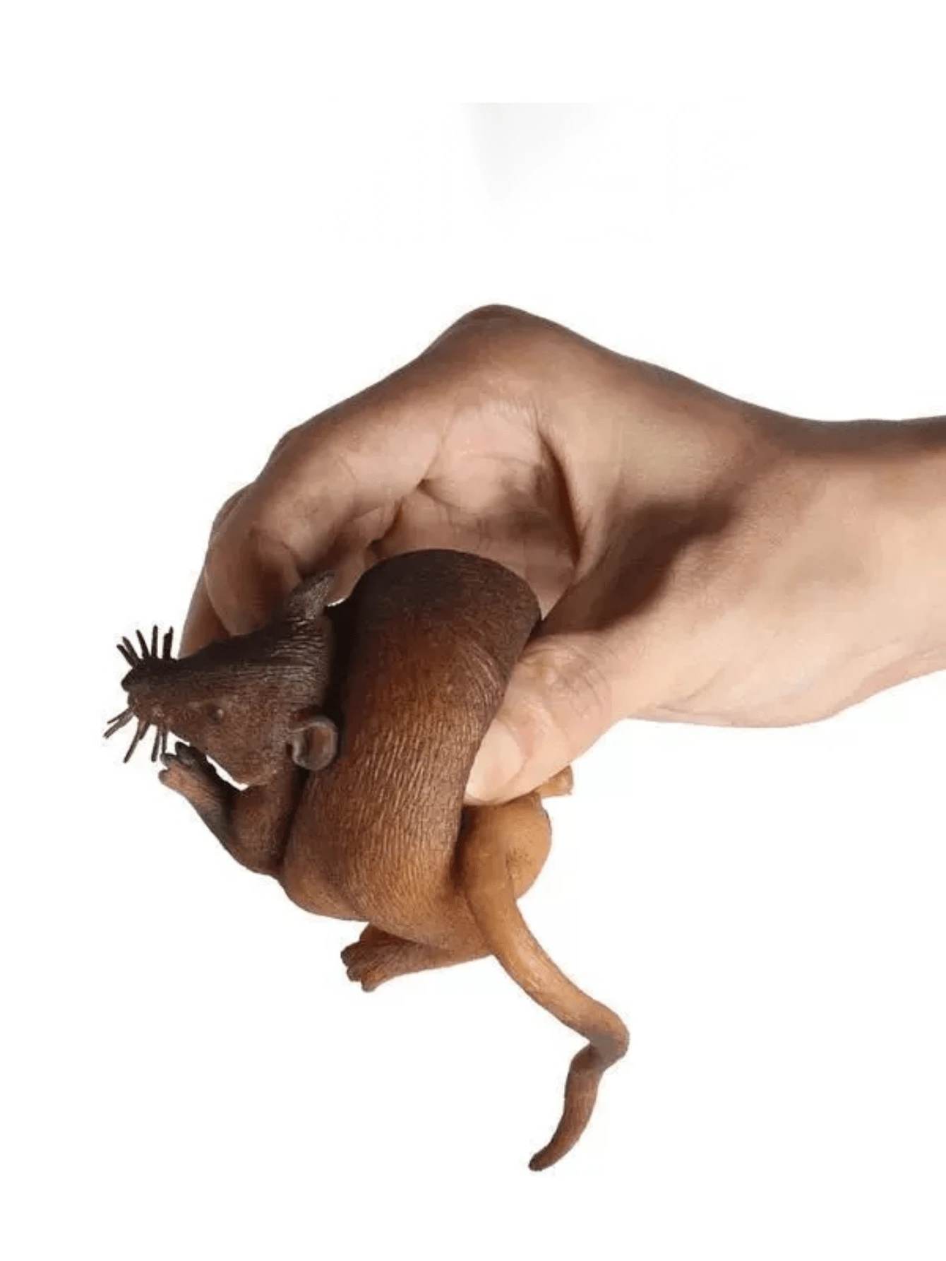 Assorted Stress Relief Squeezy Toys For Teenagers, TPR Soft Puffer Fish ...