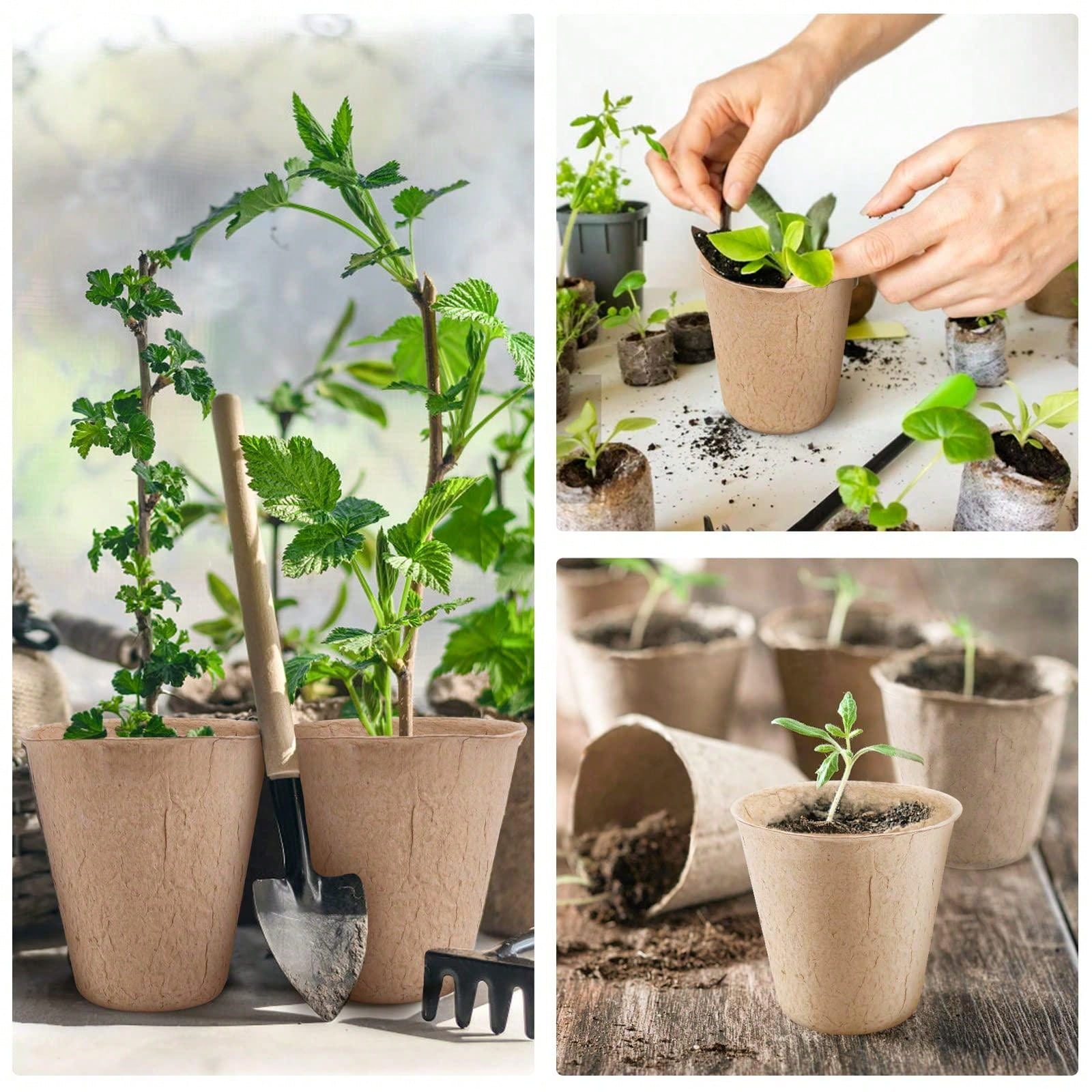 100 Pieces 7.62cm Round Peat Planter Pots, 100% And Planter Pots, Plant ...