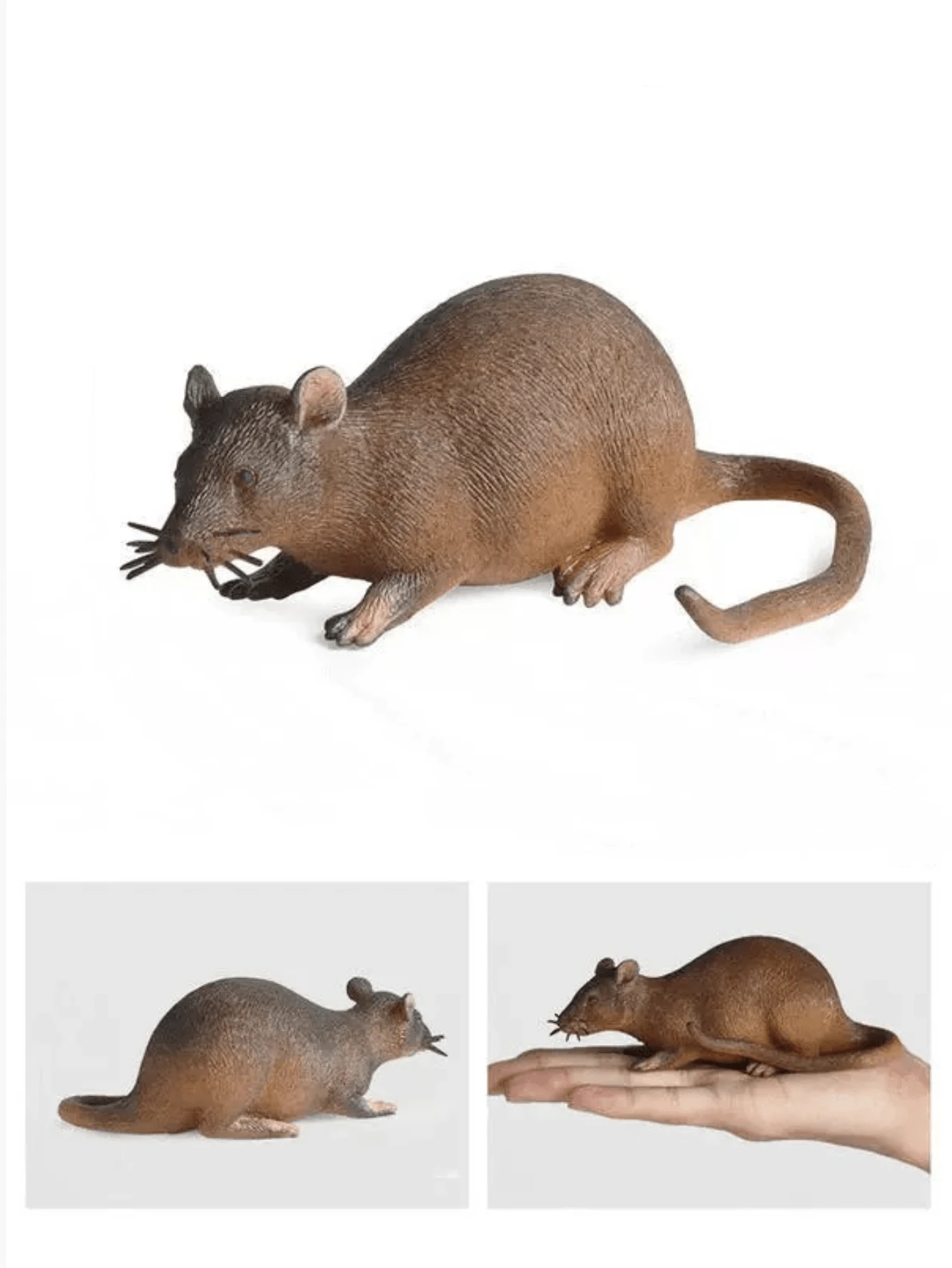 Assorted Stress Relief Squeezy Toys For Teenagers, TPR Soft Puffer Fish ...