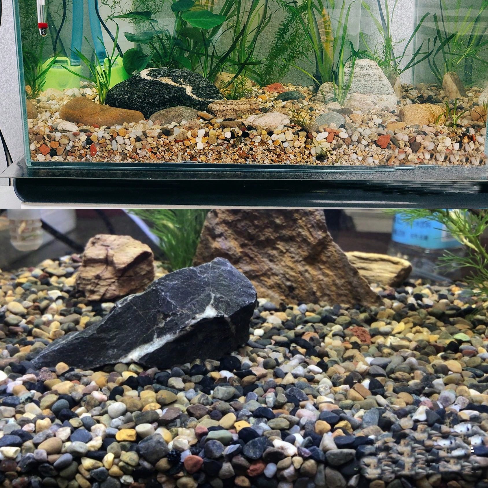 River Rocks Stones Natural Decorative Mixed Color Pebbles Fish Tank ...