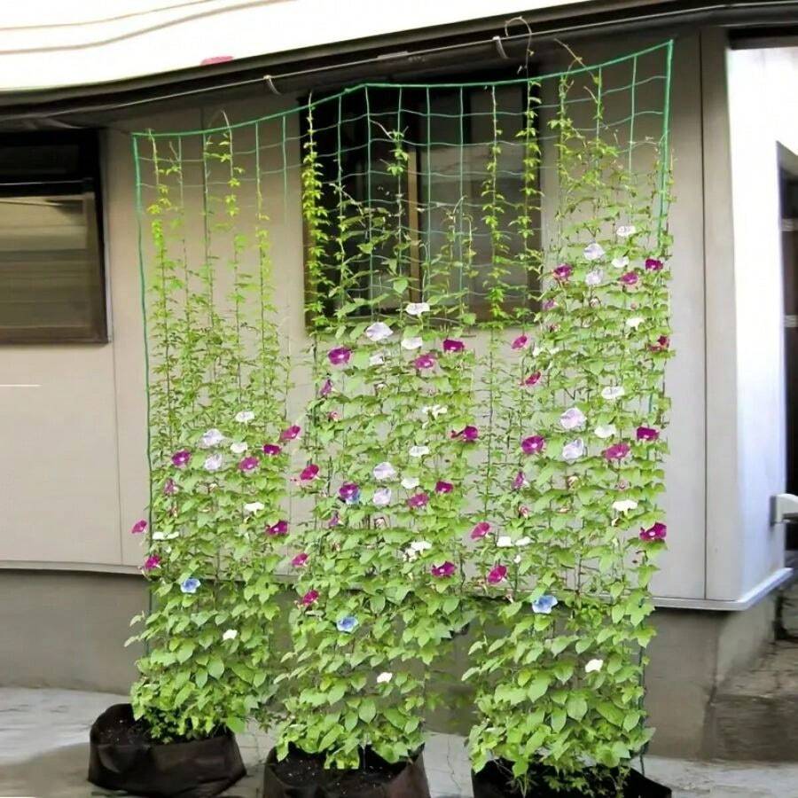 1pc Climbing Frame Planting Net For Passion Fruit, Grape, Melon ...