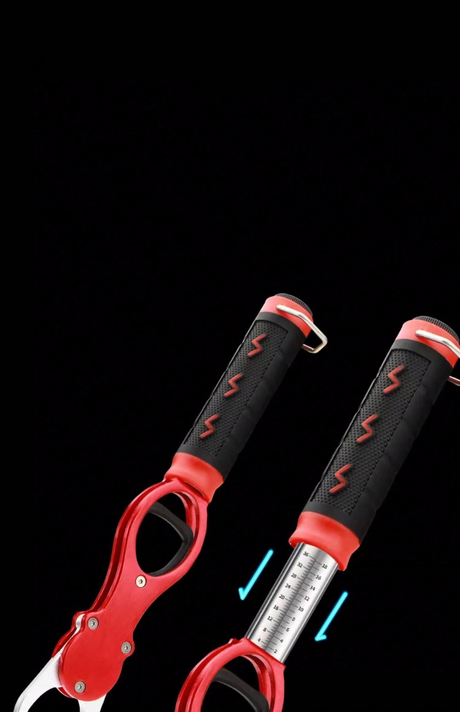 Fish Controller Stainless Steel With Scale And Fishing Pliers, Portable ...