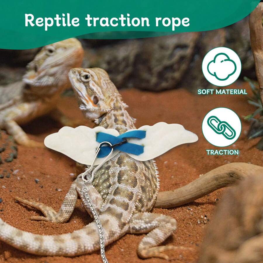 Bearded Dragon Harness and Leash, Adjustable Reptile Training Lead ...