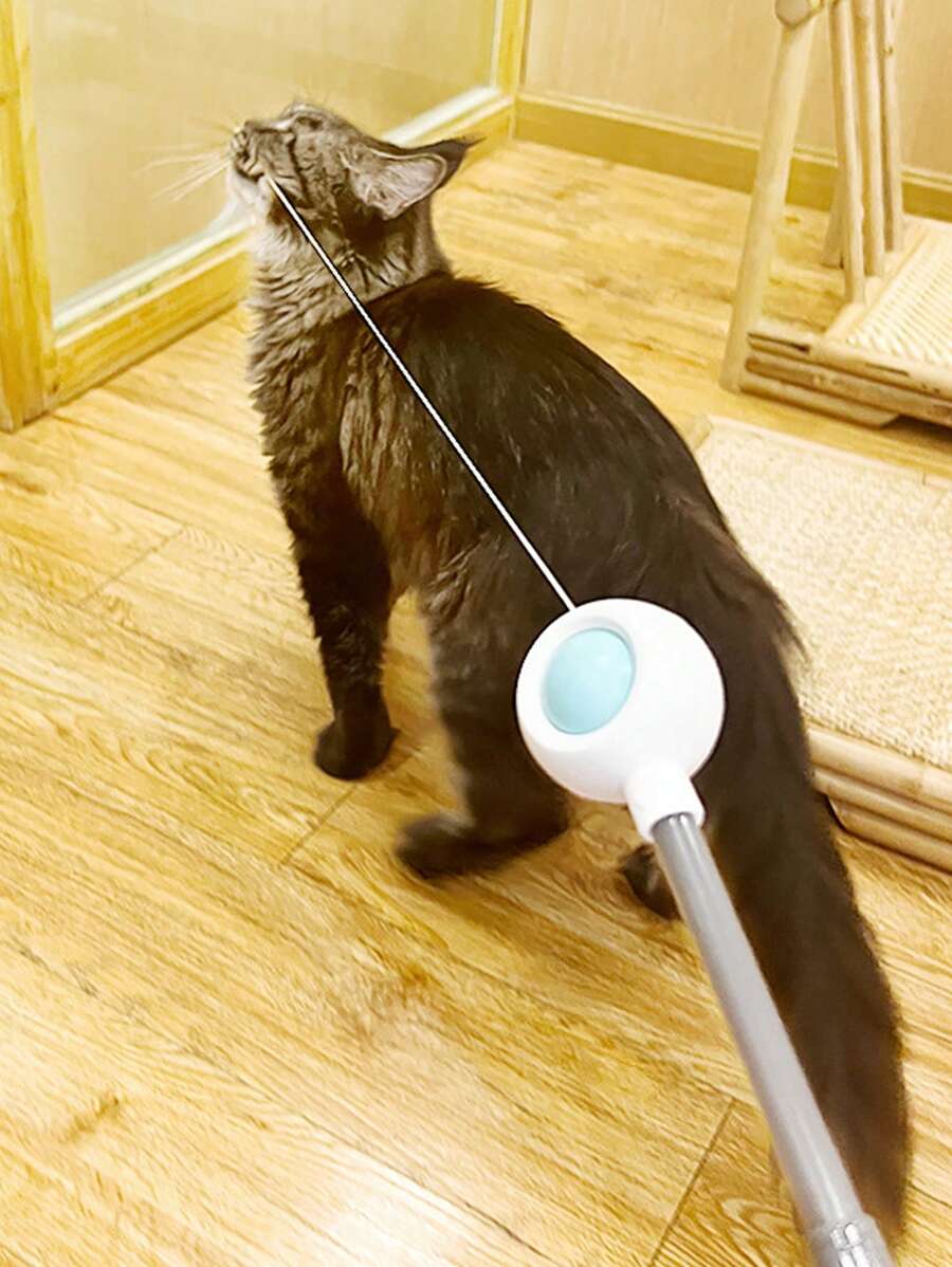 Cat Wand Toys Interactive Cat Teaser Wand Toys With Replacement Feather ...