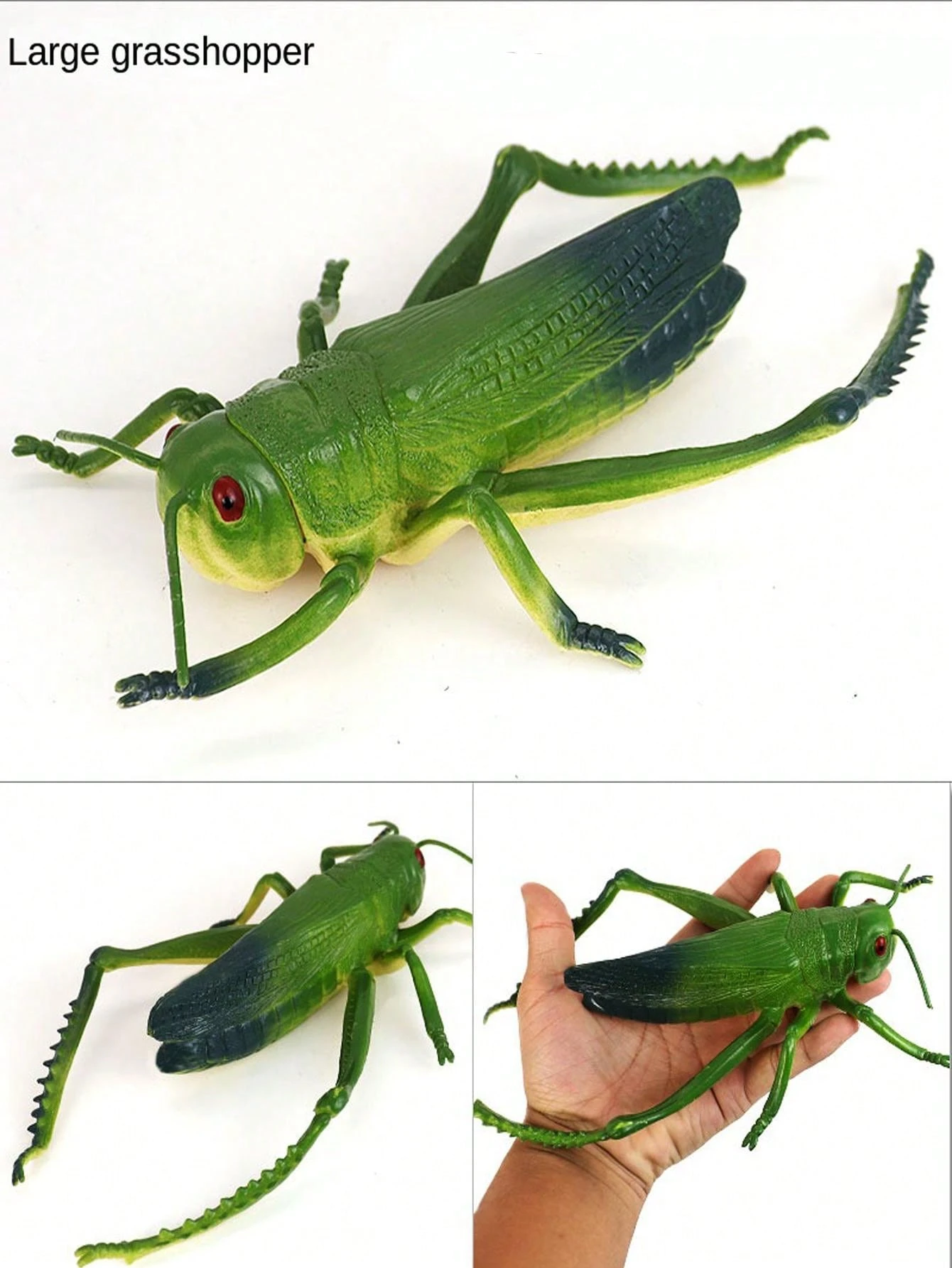 1pc Realistic Extra Large Insect Model - Green Locust And Grasshopper ...