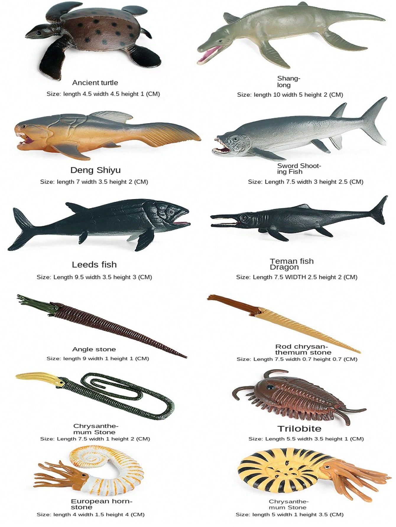 12pc Prehistoric Ocean Animals Set Toy, With Parrot Shell, Trilobite ...