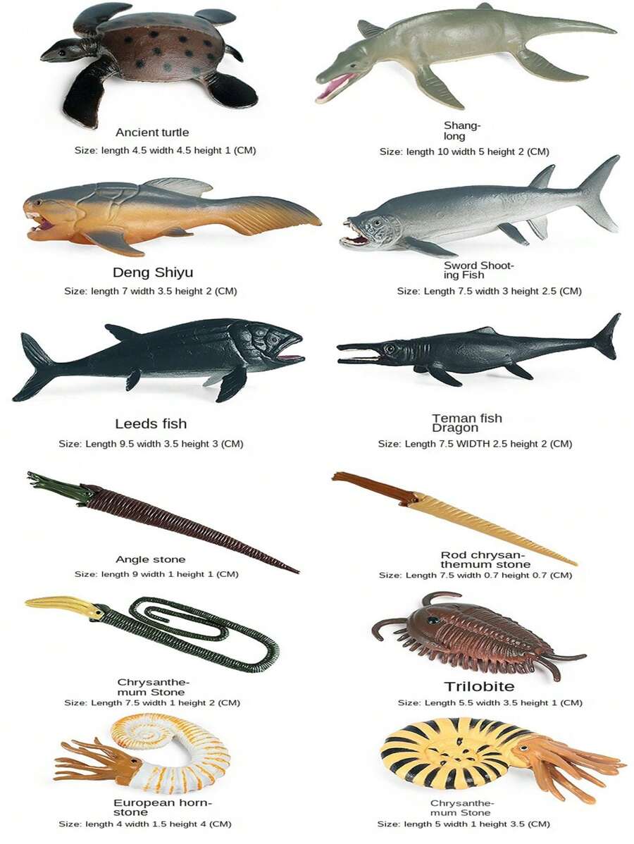 12pc Prehistoric Ocean Animals Set Toy, With Parrot Shell, Trilobite ...