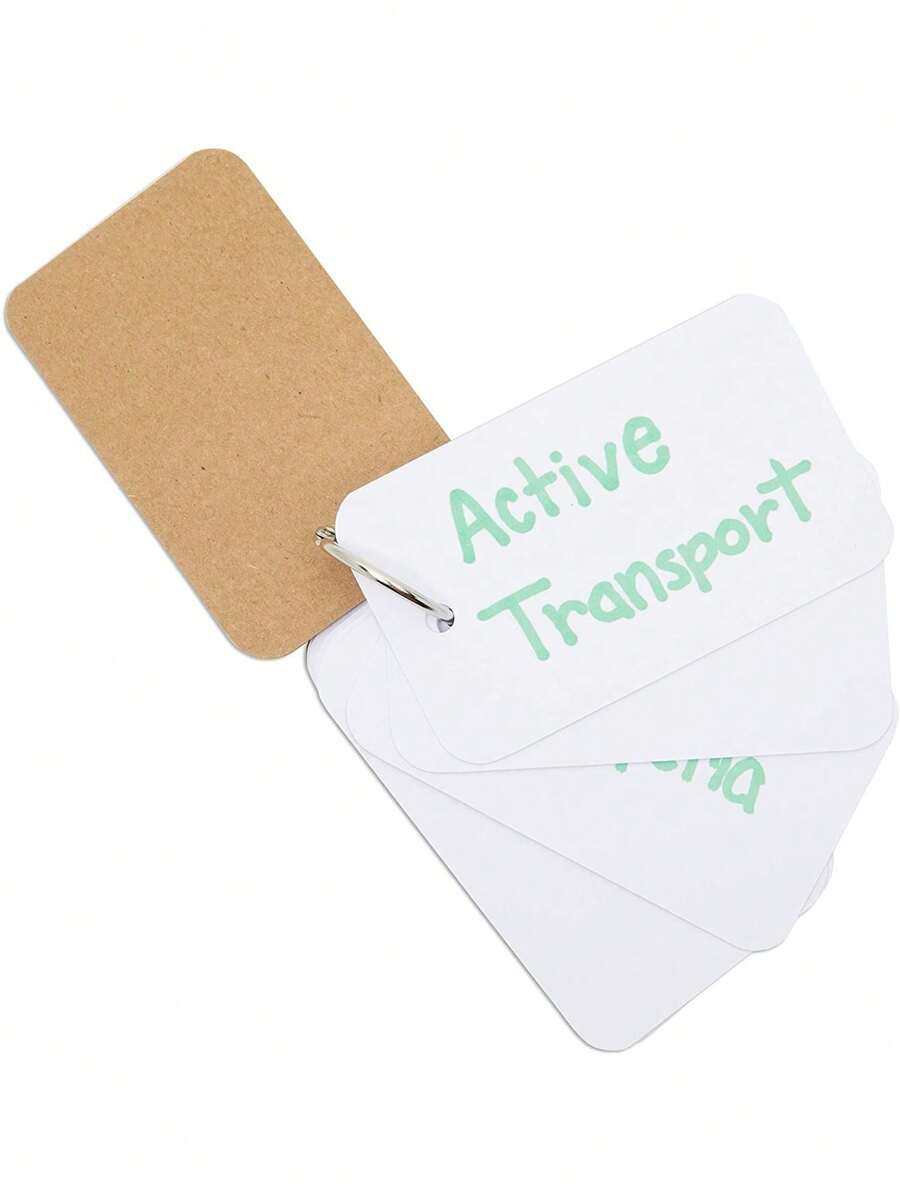 8 Pack Blank Flash Cards With Rings For Studying With 50 Sheets Each ...