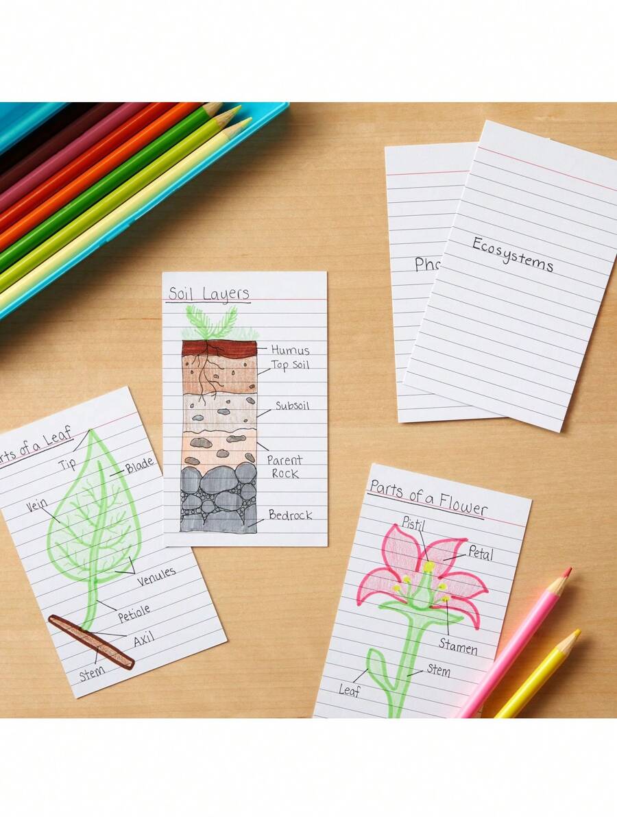 300 Pack Vertically Ruled Index Cards, Vertical Lined Paper Note Cards ...