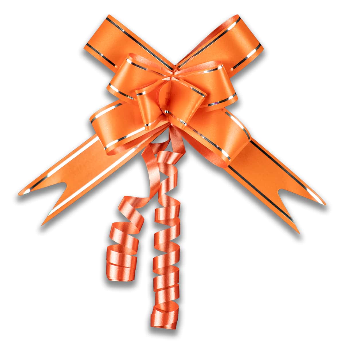 Ribbons & Bows | SHEIN USA