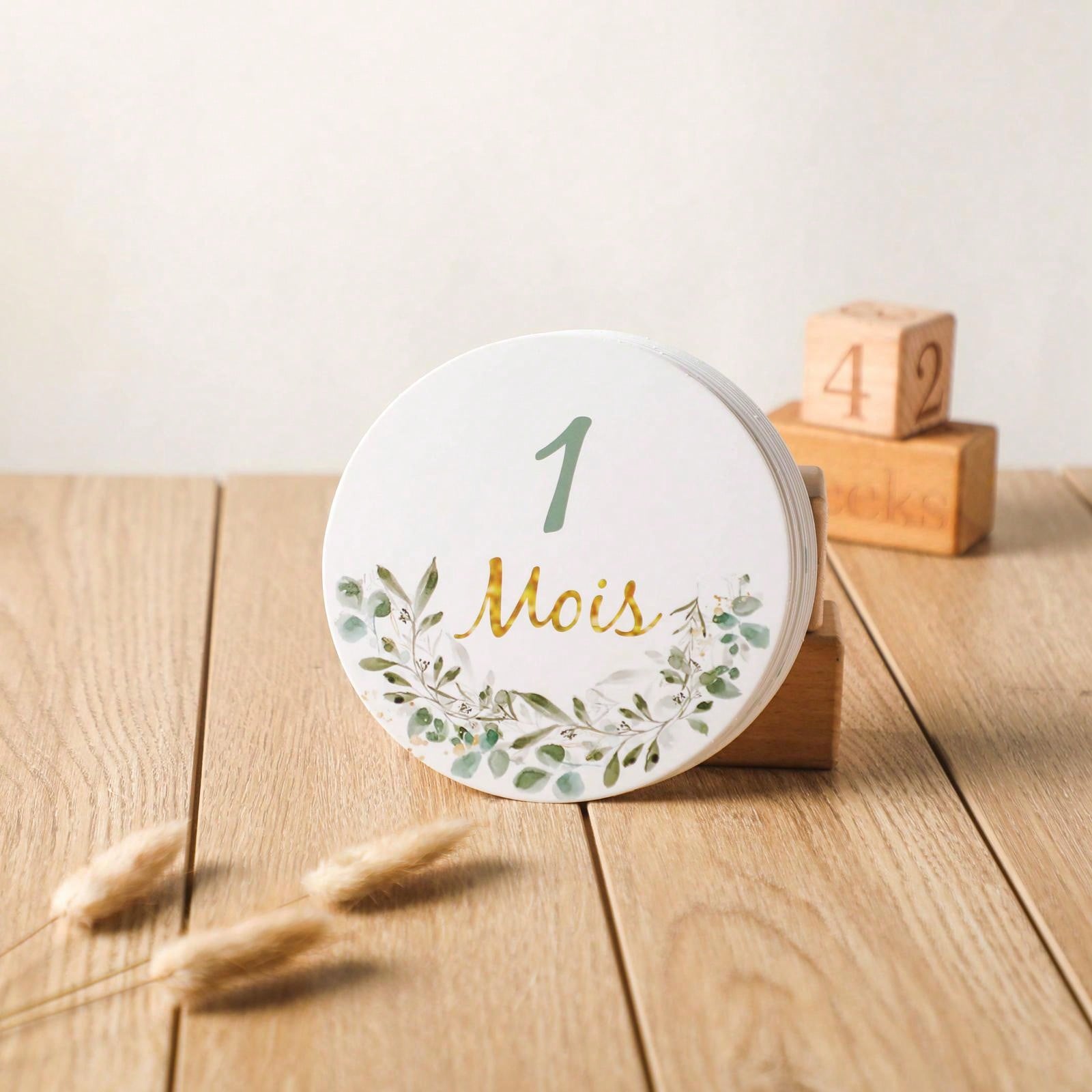 Baby Birthday Gift 12 Monthly Milestone Cards Helps Learning Language ...