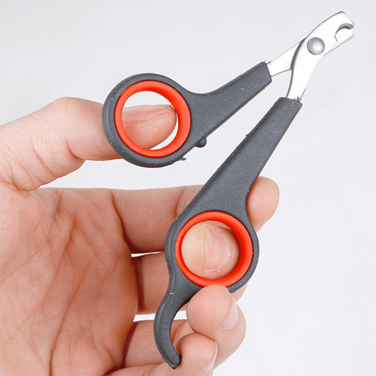 Parrot Nail Clippers, Bird Claw Feather Trimmer, Nail Clipper For ...