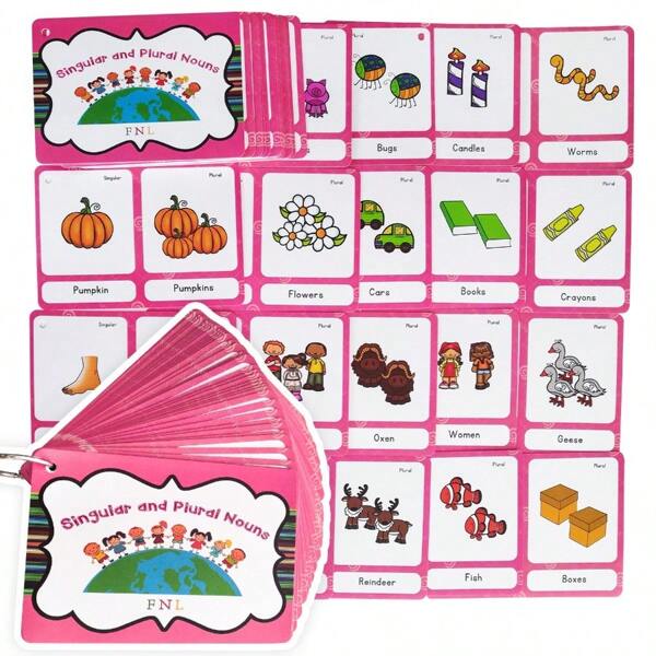 78 Groups Singular and Plural Nouns English Grammar Learning Cards ...