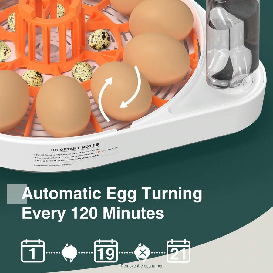 EVERYGROW 12 Egg Incubator for Hatching Eggs with Humidity Display ...
