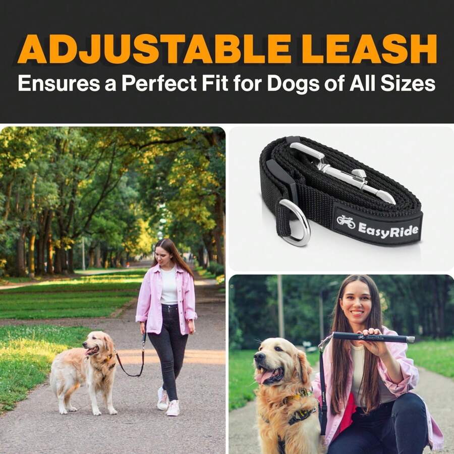 LOCHAS V2.0-180° Rotating Dog Bike Leash - With Shock Absorbers And ...