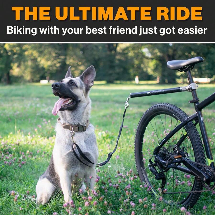 LOCHAS V2.0-180° Rotating Dog Bike Leash - With Shock Absorbers And ...