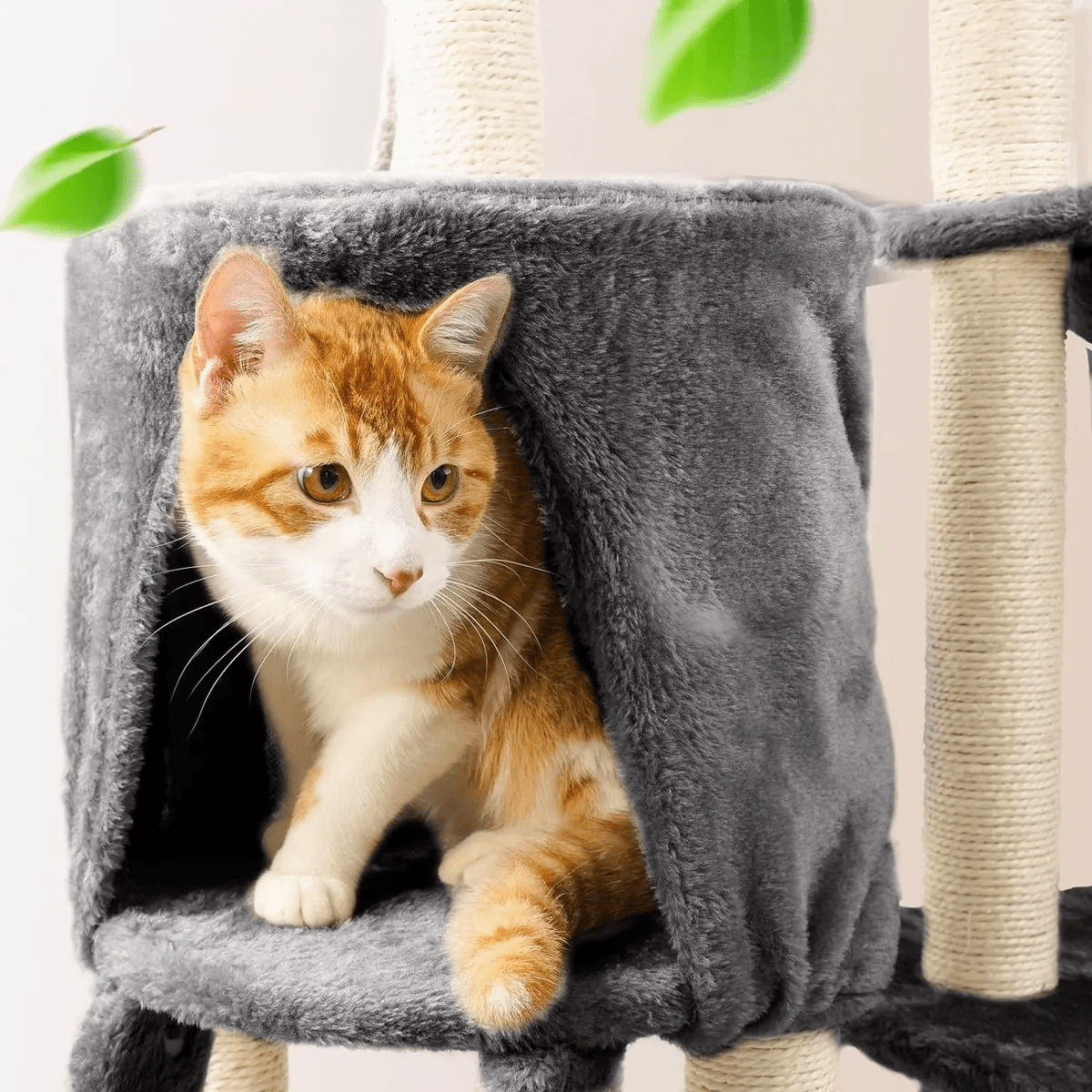 Cat Trees & Condos | SHEIN USA