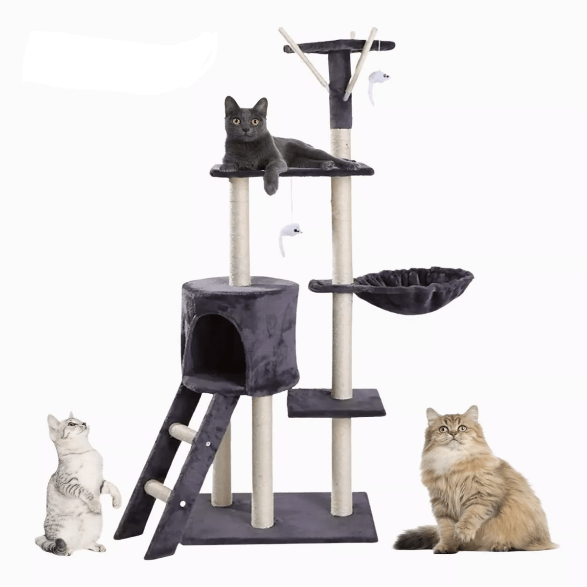 Cat Trees & Condos | SHEIN USA