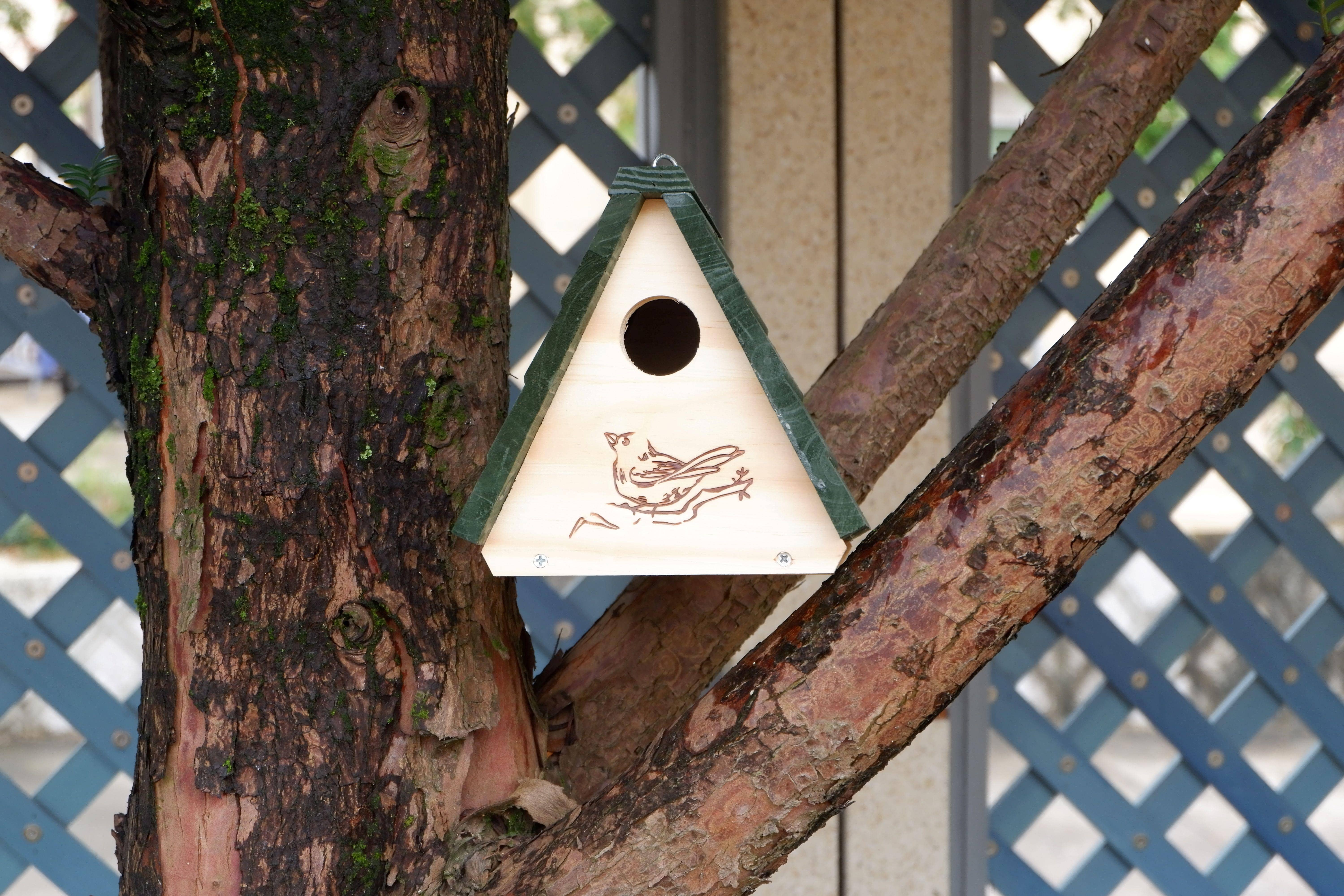 1pc Real Wood Triangle Birdhouse With Olive Green Top for Sale ...
