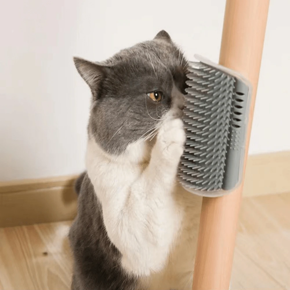 Popular Corner Cat Scratching Device, Cat Scratching Device, Cat ...