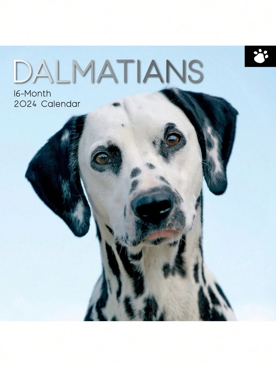 2024 Square Wall Calendar, Dalmatians, 16-Month Paw Prints Theme With ...