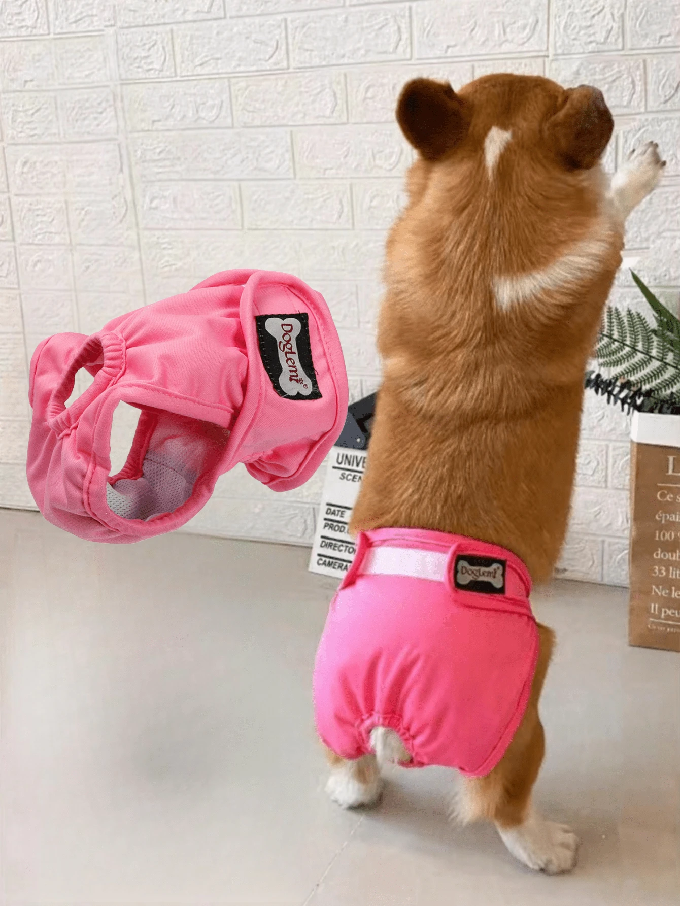 1pc Female Dog Sanitary Pants Menstrual Pants For Outdoor Activities To ...