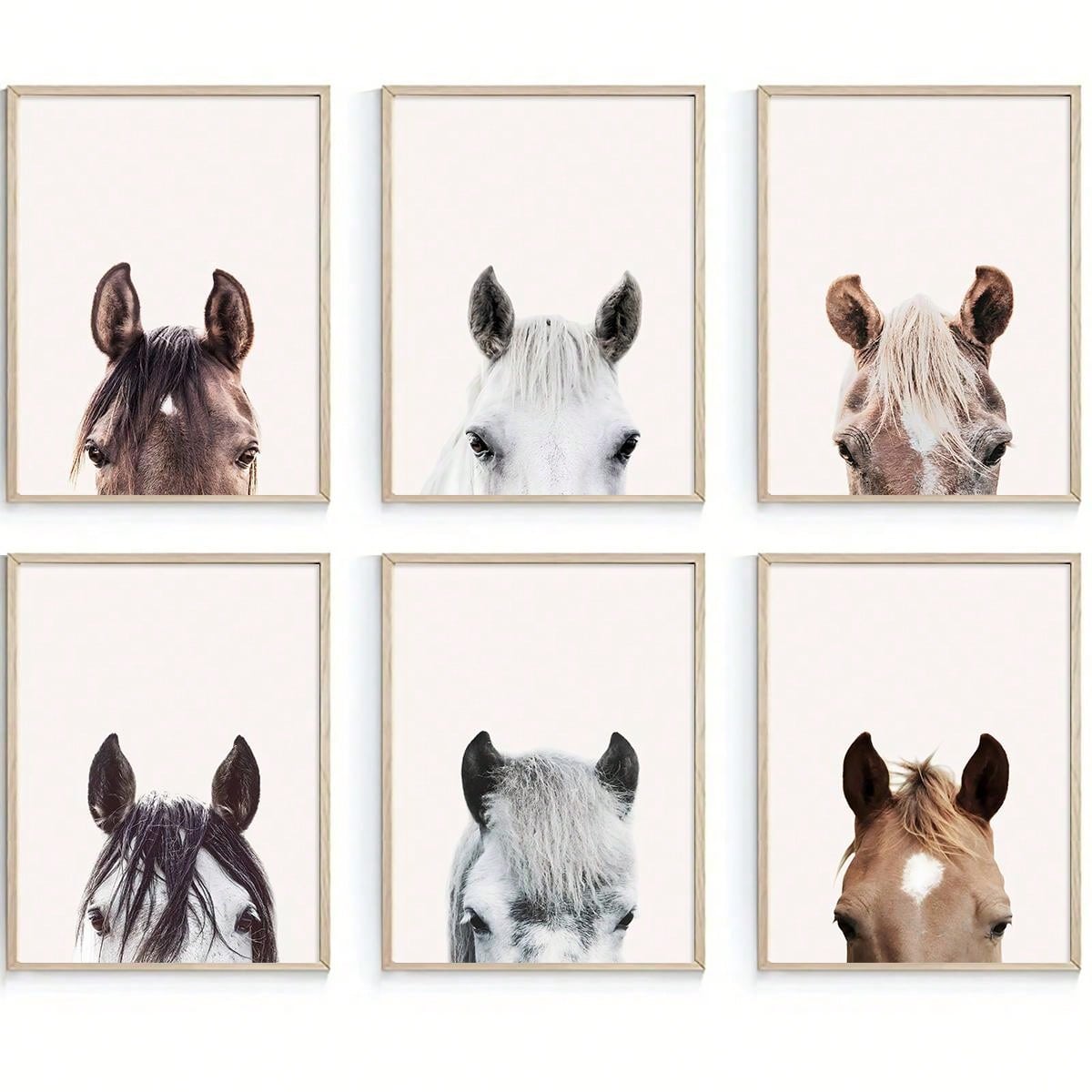 Een Sets Van 6 , Paard Canvas Muur kunst Afdrukken , Paarden ...