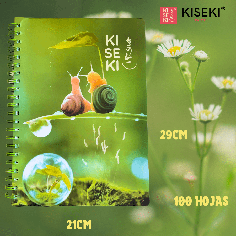 Notebooks | SHEIN USA