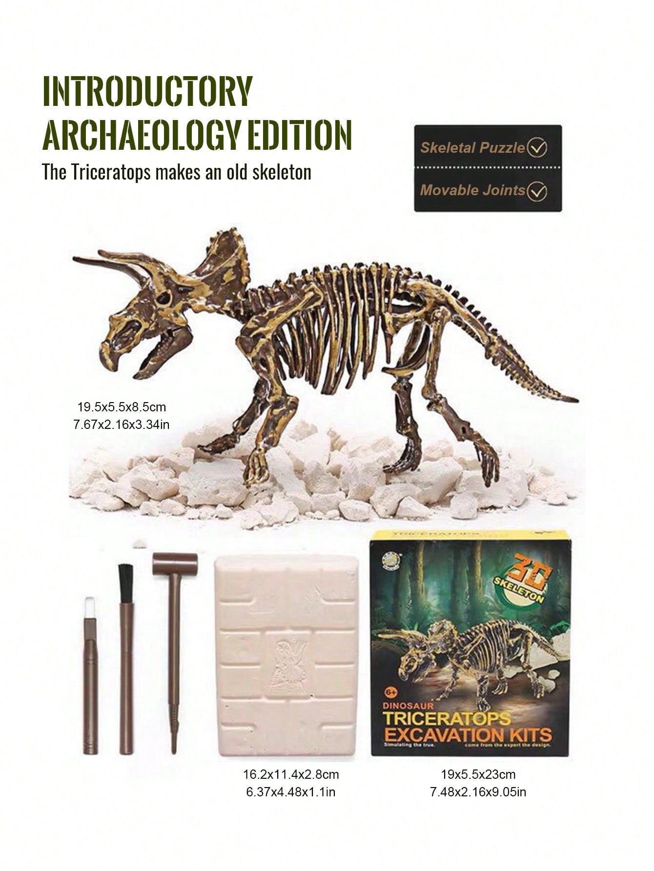 [Triceratops] A Super Fun And Interesting Archaeological Excavation Toy ...