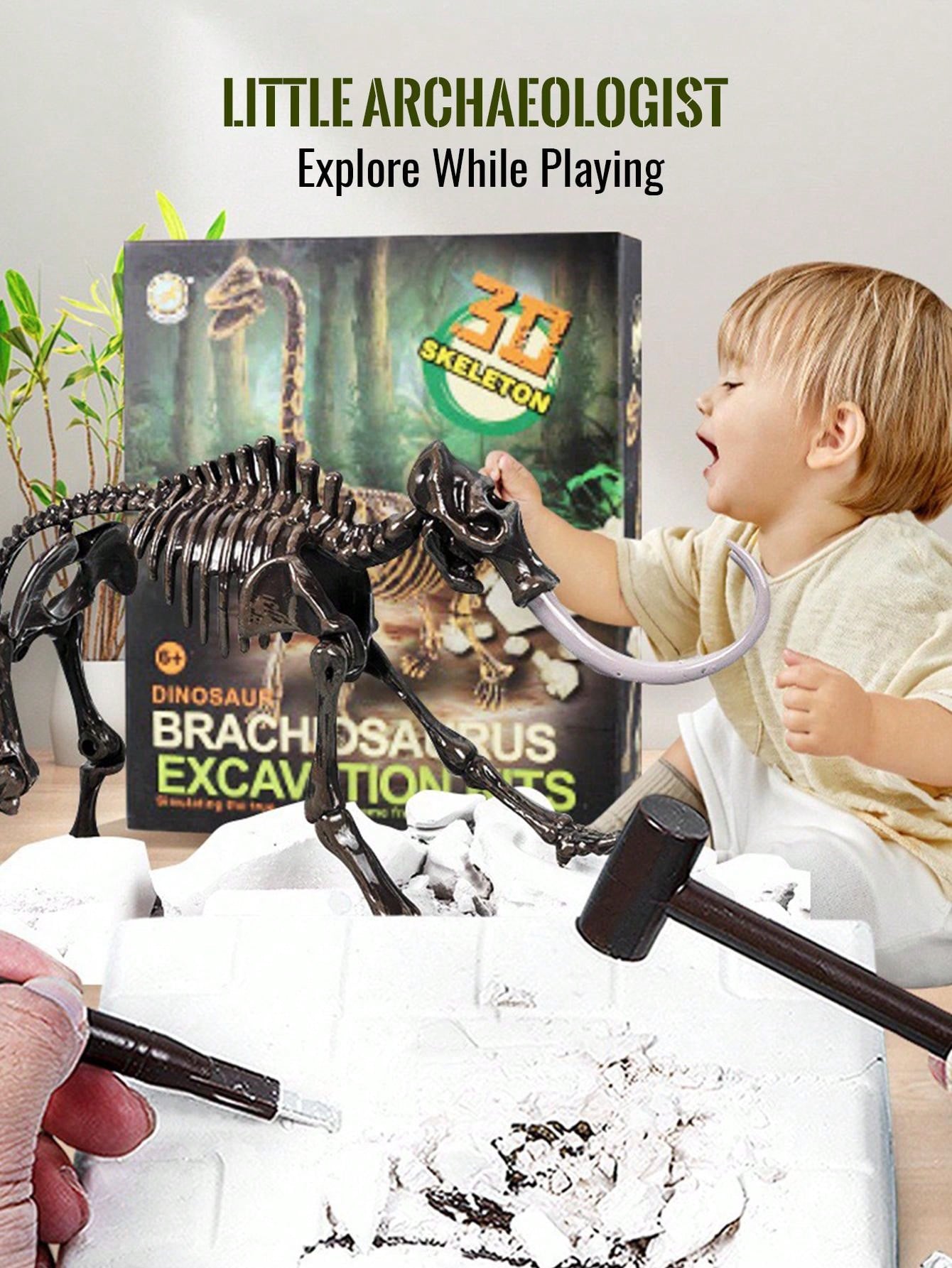[Triceratops] A Super Fun And Interesting Archaeological Excavation Toy ...