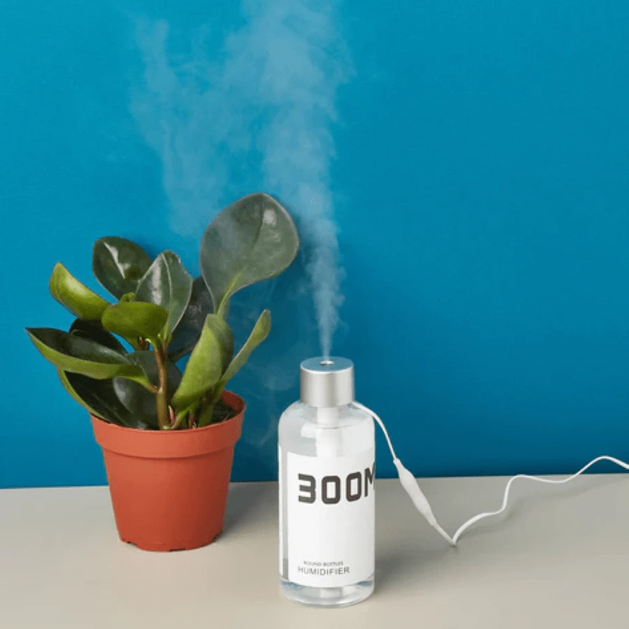Plant Humidifier - 300ML | SHEIN USA