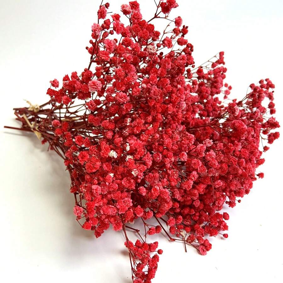 65pcs 3000+ Pcs Natural Everlasting Gypsophila Small Bouquet For ...