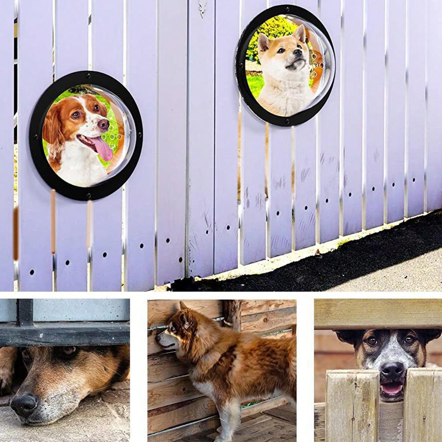 A Pet Observation Window Transparent Breathable Pet Cat And Dog ...