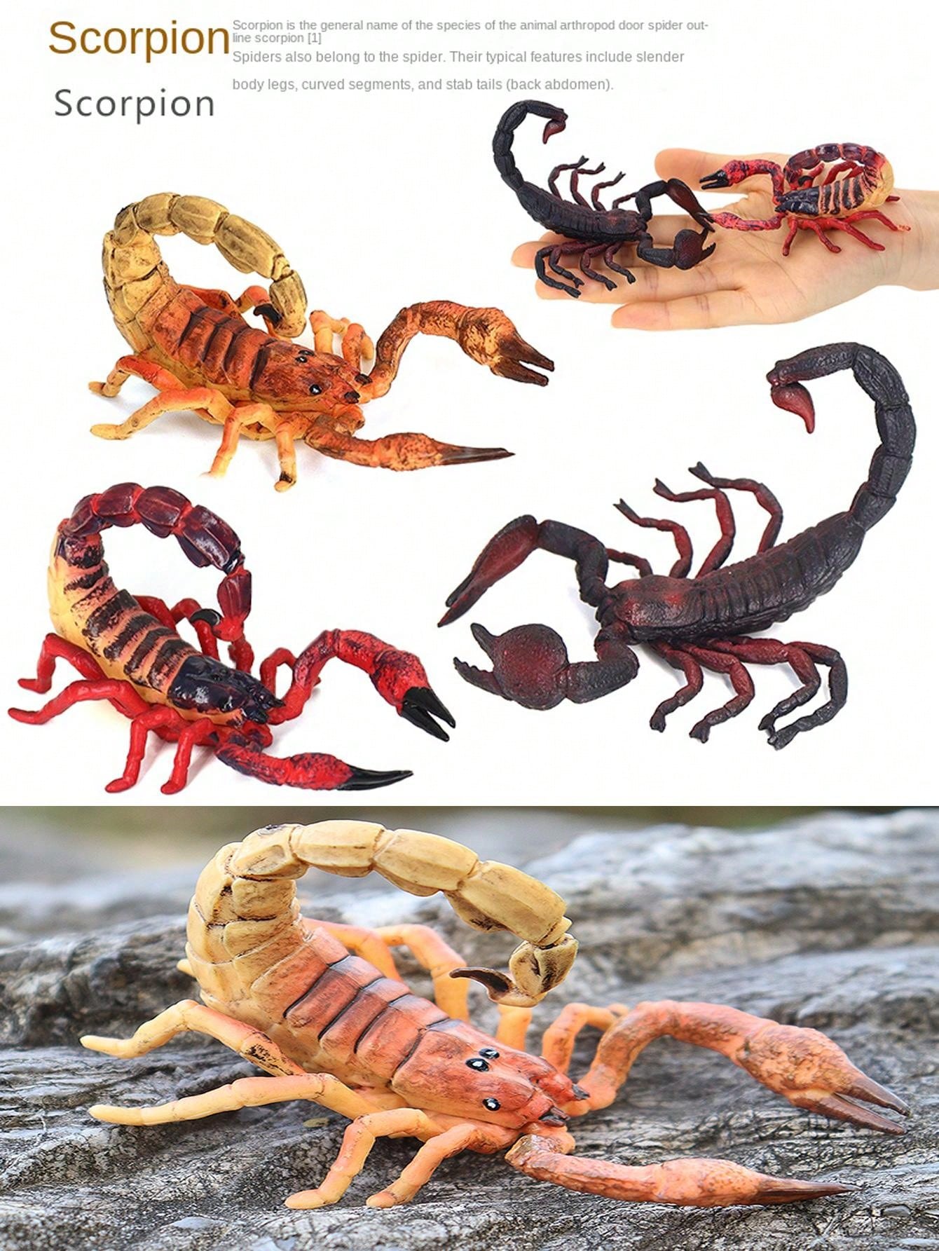 Pvc Realistic Scorpion Model Educational Science Toy Decoration Insects ...