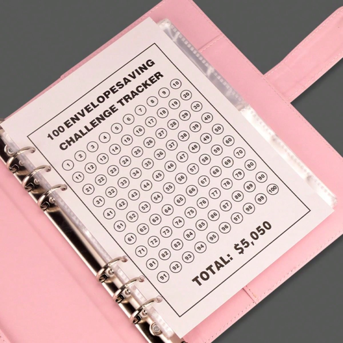 100 Days Envelope Challenge Binder Couple Savings Challenge Binder ...