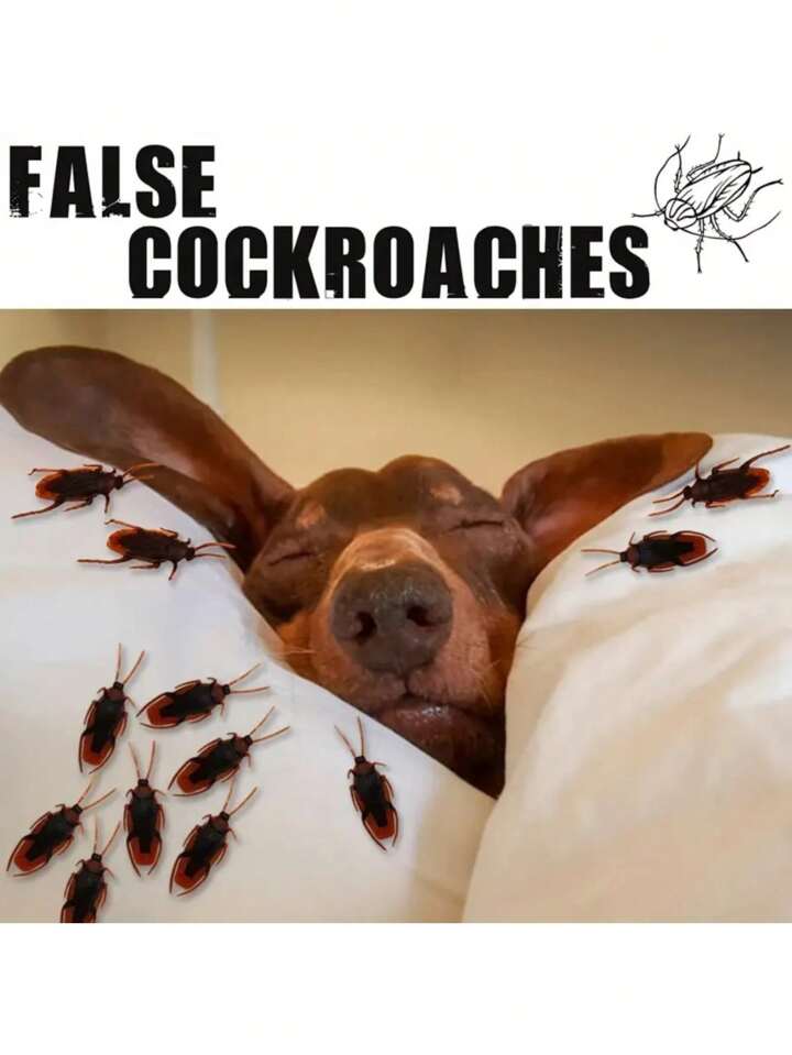 15 Premium Fake Cockroaches, Very Realistic Fake Cockroaches, Great Way ...