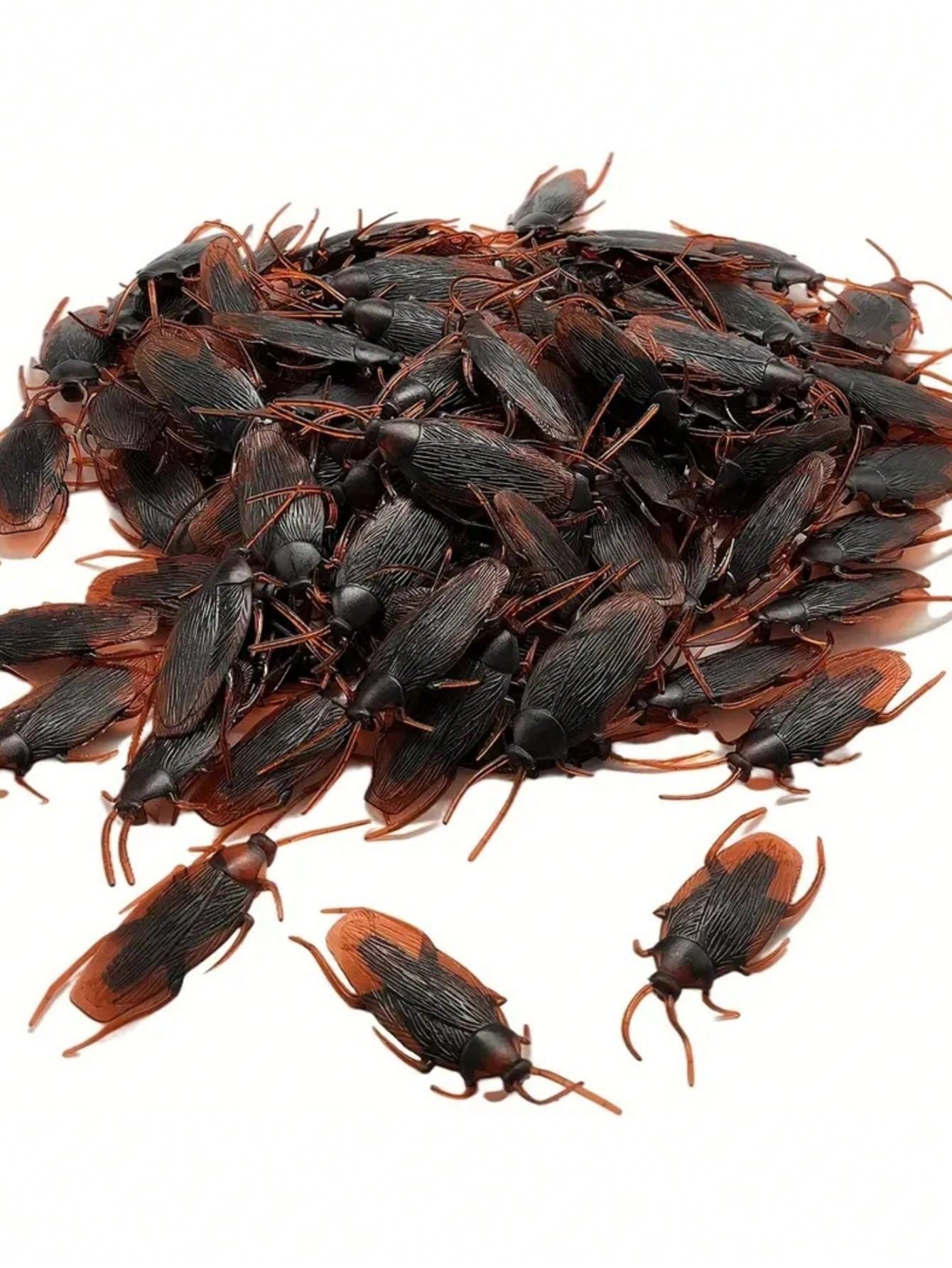 15 Premium Fake Cockroaches, Very Realistic Fake Cockroaches, Great Way ...