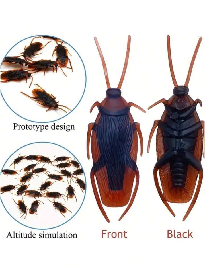 15 Premium Fake Cockroaches, Very Realistic Fake Cockroaches, Great Way ...
