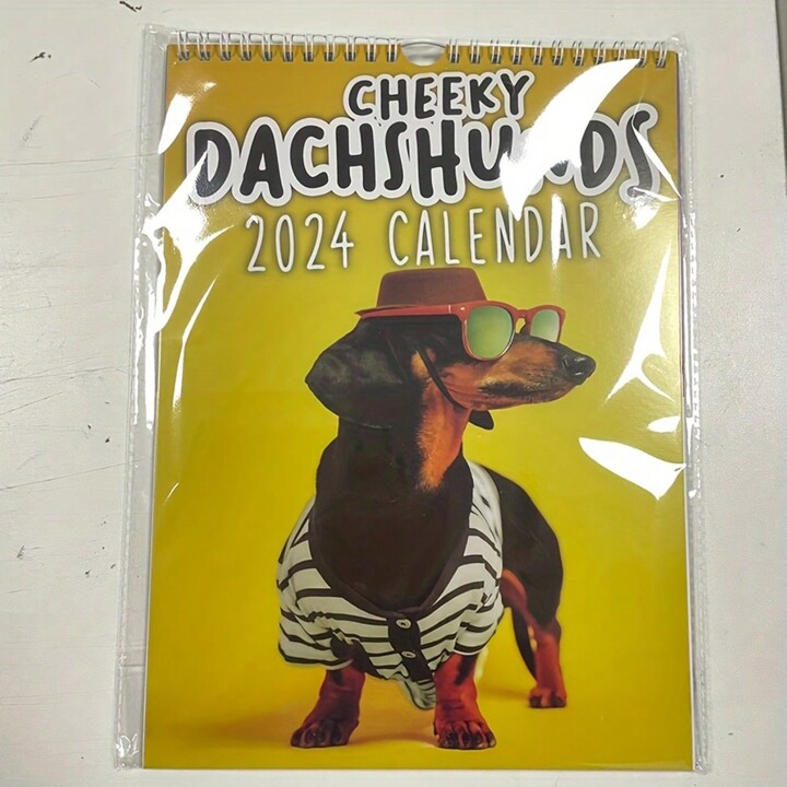 A New 2024 Sausage Dog Calendar, A Dachshund Fun Calendar, A Cheeky ...