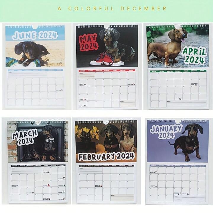 A New 2024 Sausage Dog Calendar, A Dachshund Fun Calendar, A Cheeky ...