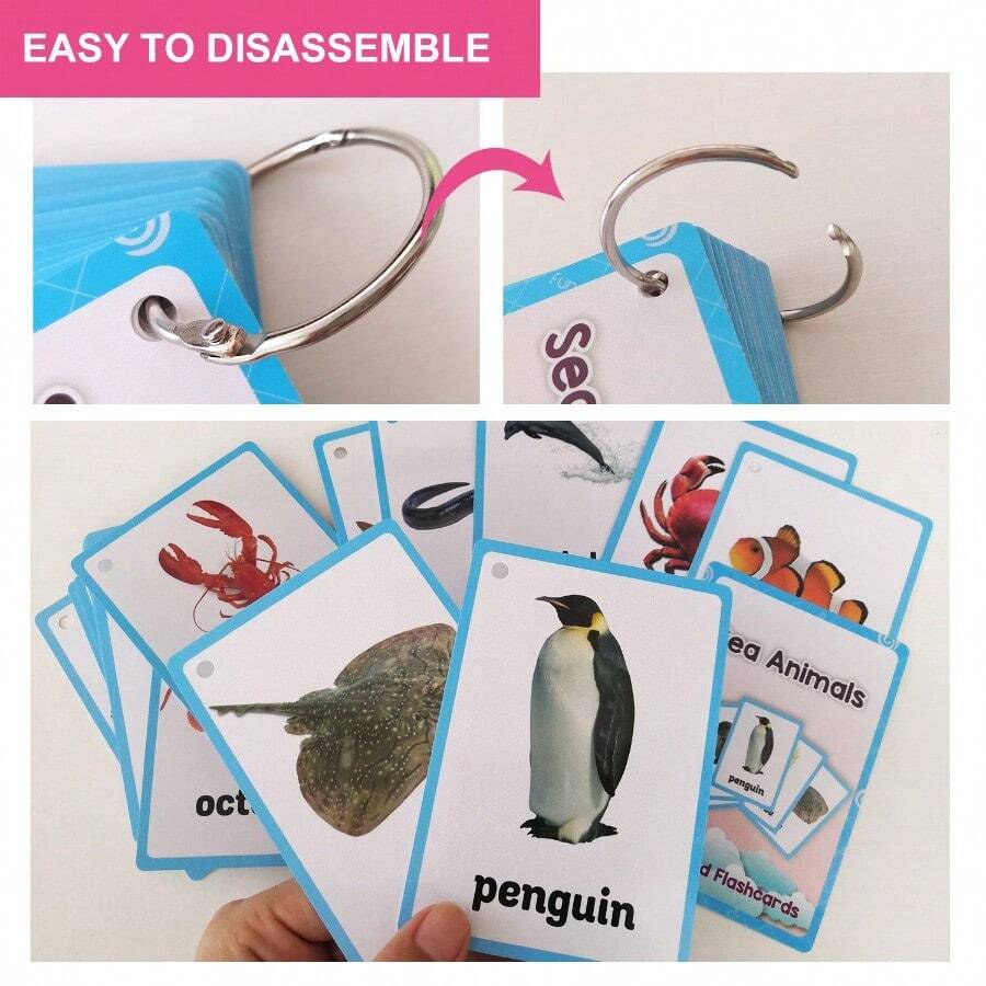 20 Cards Of Sea Animals Cognitive Flash Cards For Kids English ...