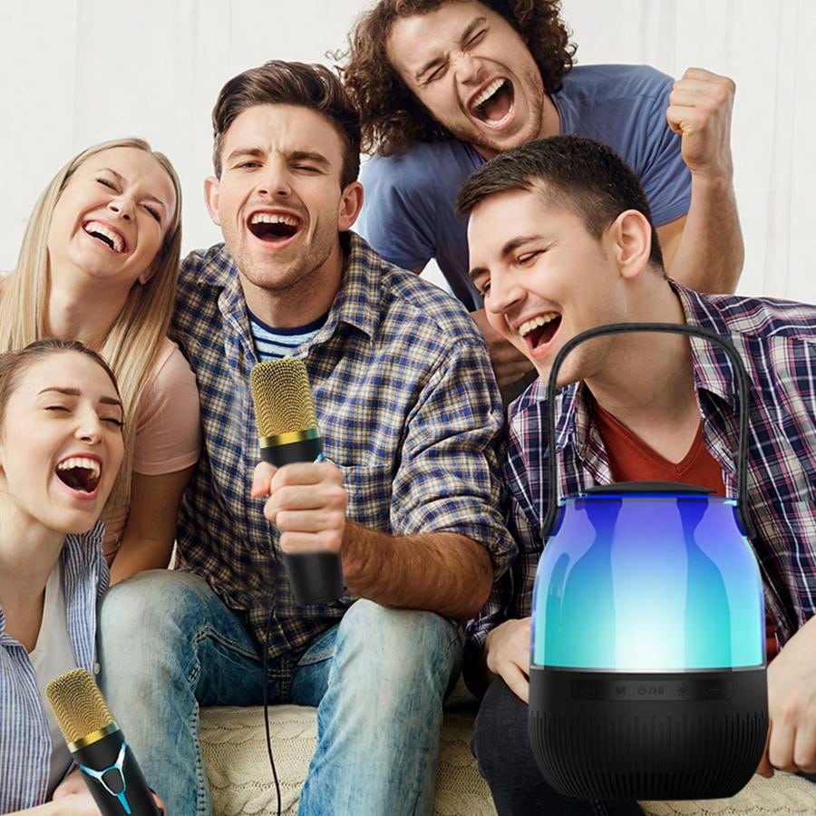 2024 Nouveau Système De Microphone Et De Haut-parleur Sans Fil Avec ...