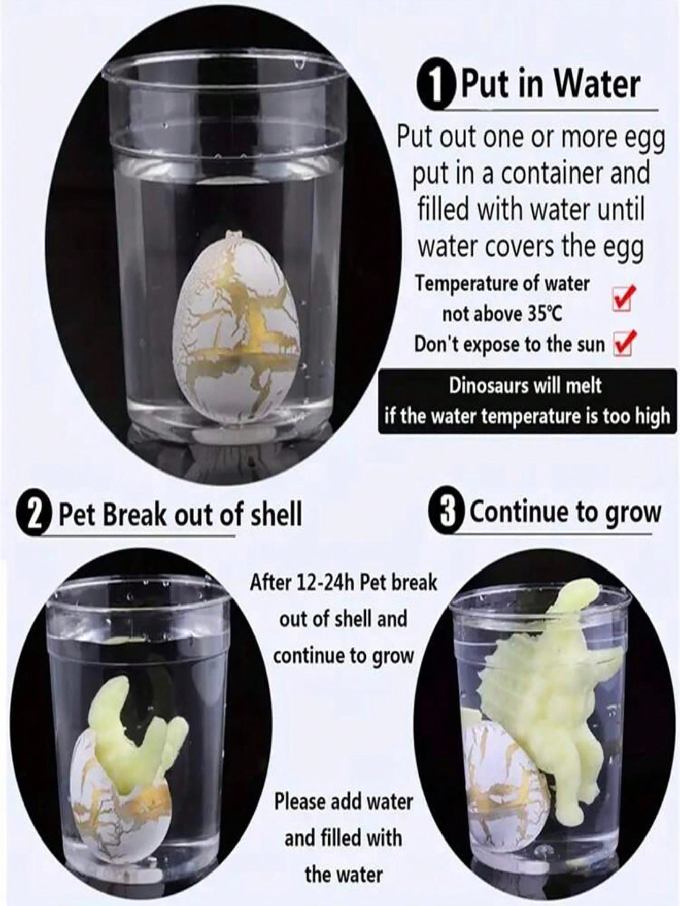 Black Cracked Dinosaur Egg Hatchable Kids Toy Novelty Expandable ...