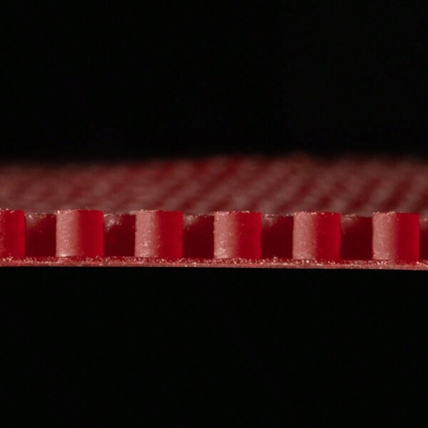 1 Piece PALIO CK531A Pips-Long Table Tennis Rubber (Long Pips) OX ...