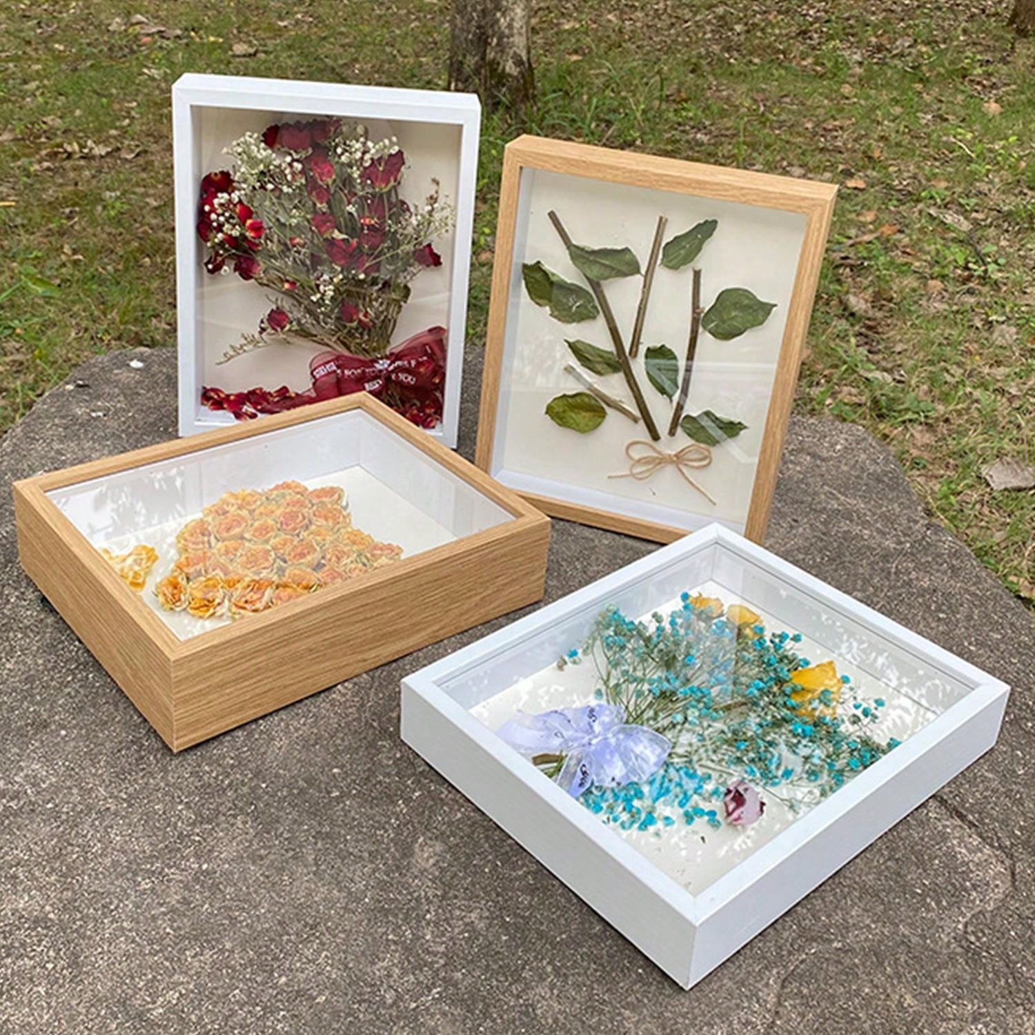 1pc Hollow White Dried Flower Specimen Frame With Seashell & Dry Flower ...