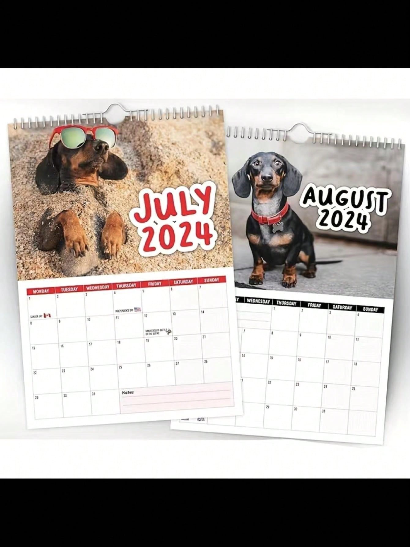 1pc Cheeky Dachshunds 2024 Wall Calendar, 2024 Novelty Dog Calendars ...