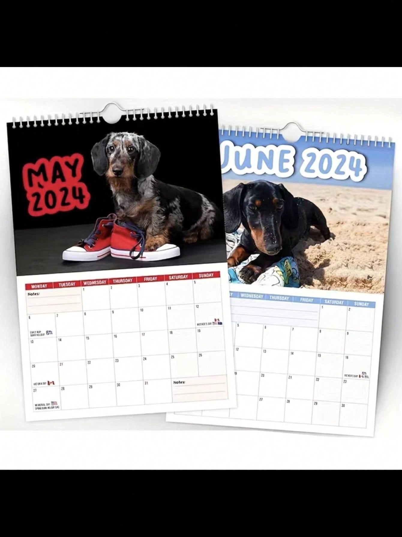 1pc Cheeky Dachshunds 2024 Wall Calendar, 2024 Novelty Dog Calendars ...