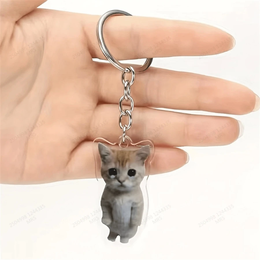 1pc Creative Meme Acrylic Keychain Pendant Funny Backpack Ornament ...