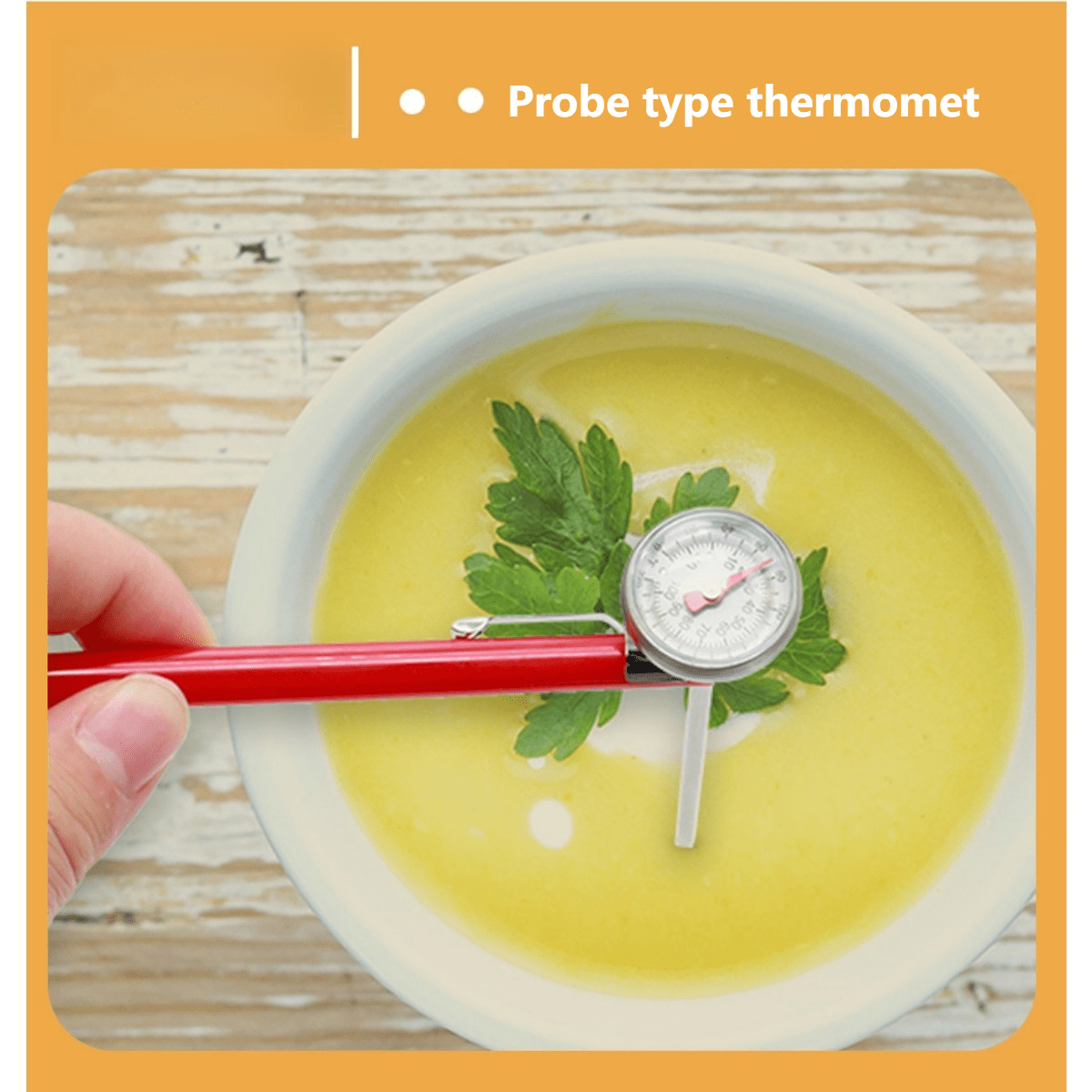 One Piece Pen Clip Probe Thermometer Walking Stick Thermometer Water ...